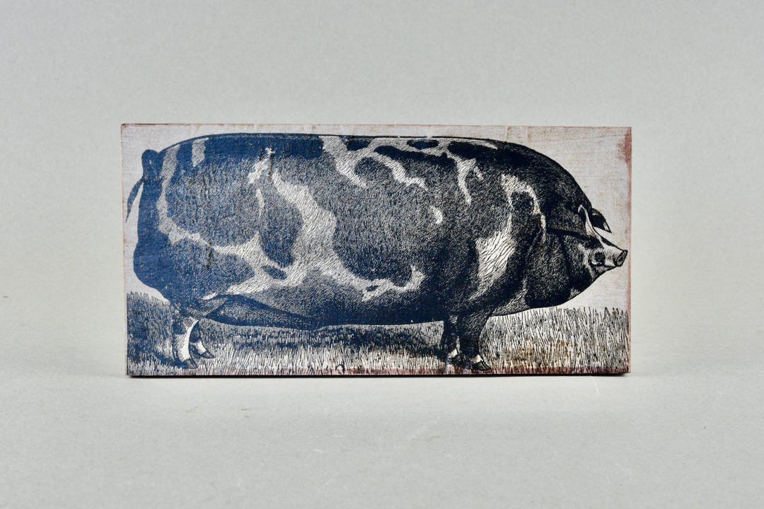 Antique Inspired Wooden 18th Century Pig Hog Wall Sign Plaque - Etsy