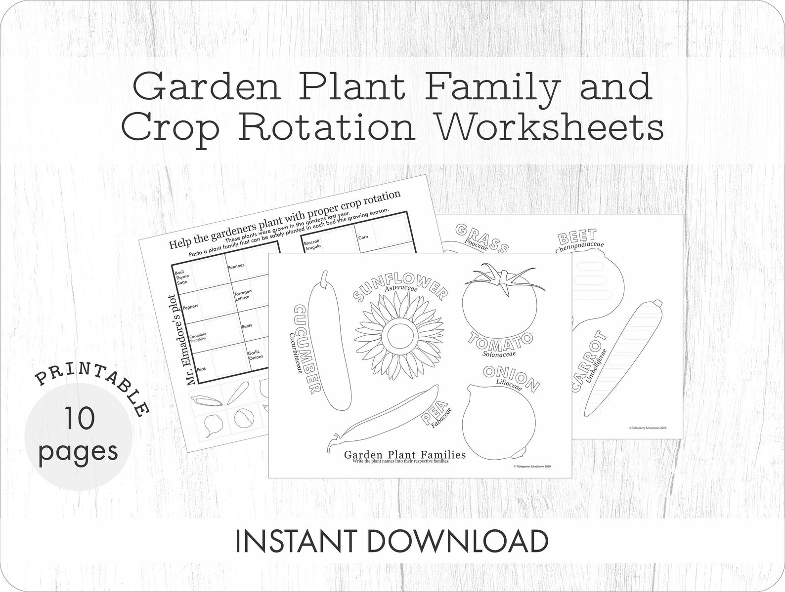 Garden Plant Family and Crop Rotation Printable Worksheets | Etsy