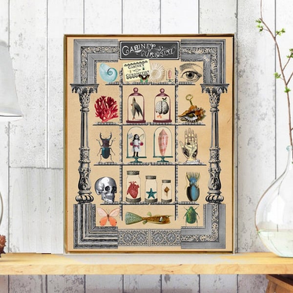 Curiosity Cabinet - Etsy