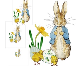 Peter rabbit clipart | Etsy