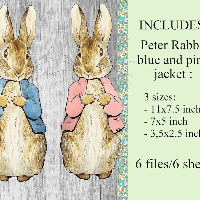 Peter Rabbit for Cricut - Etsy