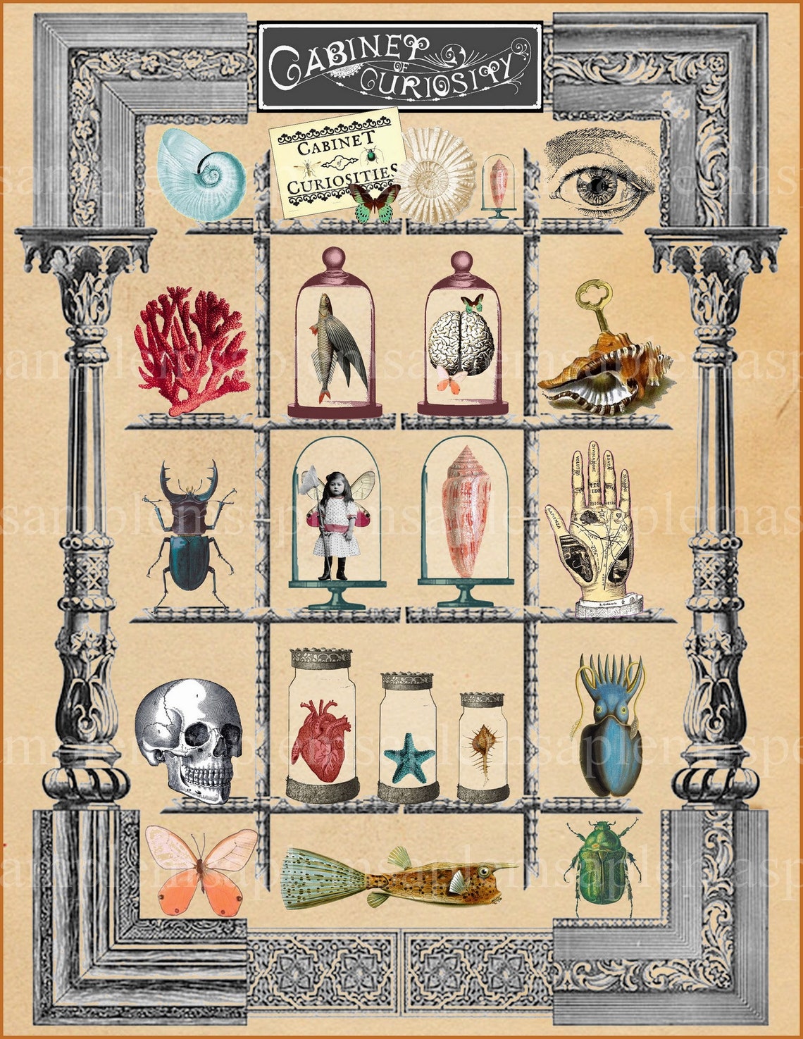 Cabinet of Wonders Printable Artwork, Digital Download Curiosities ...
