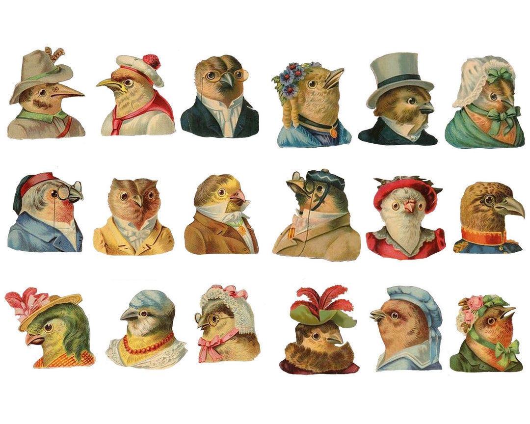 Vintage Birds Cliparts Birds Ephemera Digital Collage Sheet Birds PNG ...