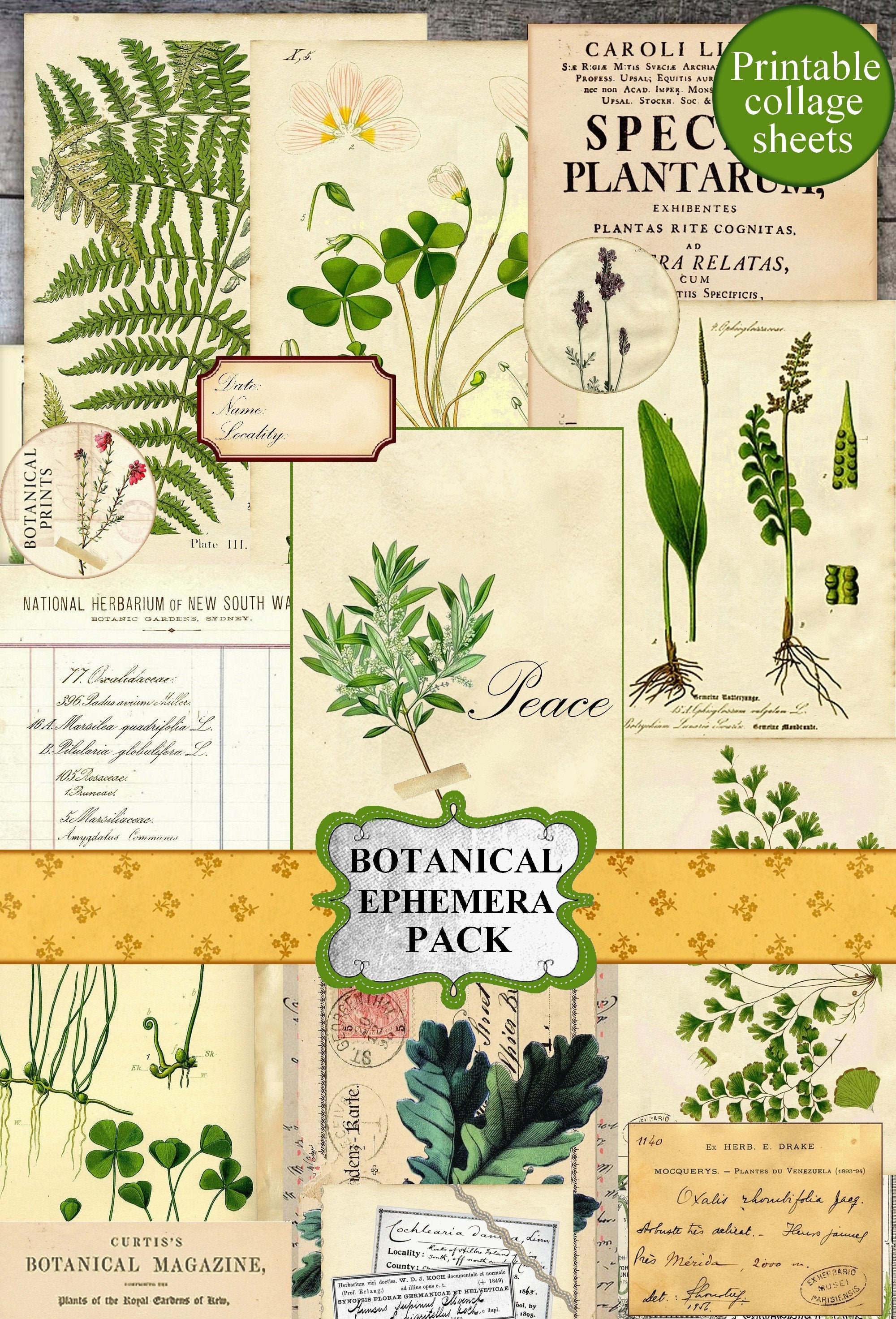Botanical Junk Journal Kit Botanical Journal Ephemera | Etsy