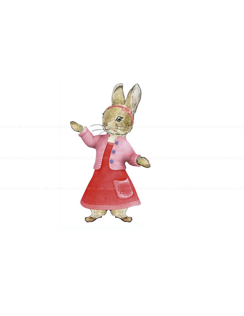 Peter Rabbit Benjamin Bunny Lily Botbail Cliparts Instant - Etsy