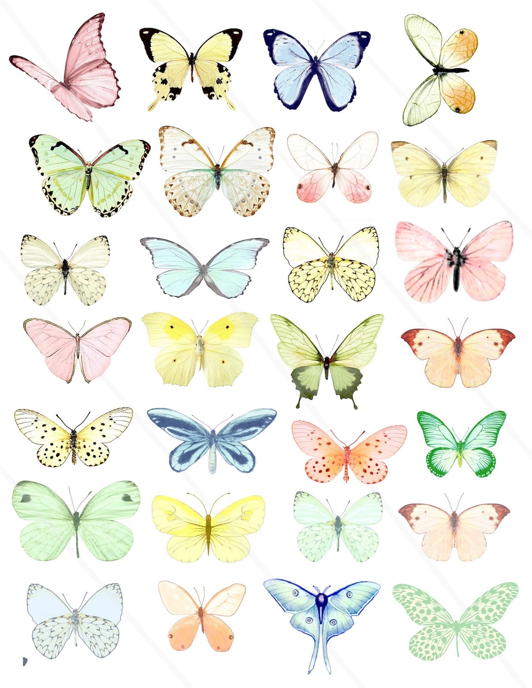 Digital Collage Sheet Butterflies Wings PNG - Instant Download ...