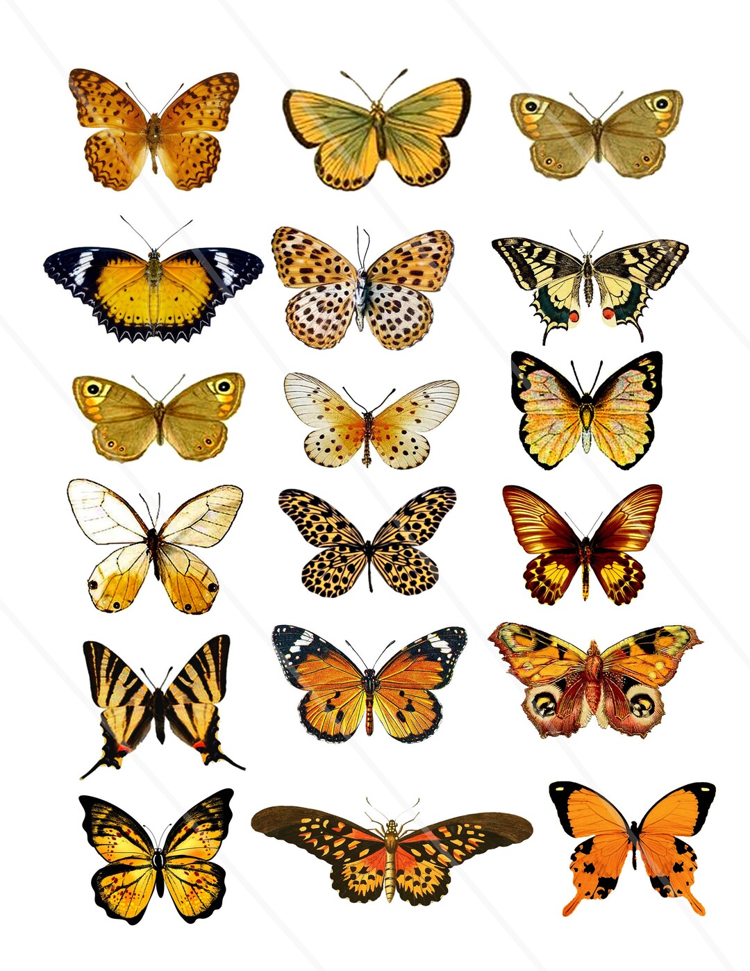 Digital Collage Sheet Butterflies Wings JPEG and PNG - Instant Download ...