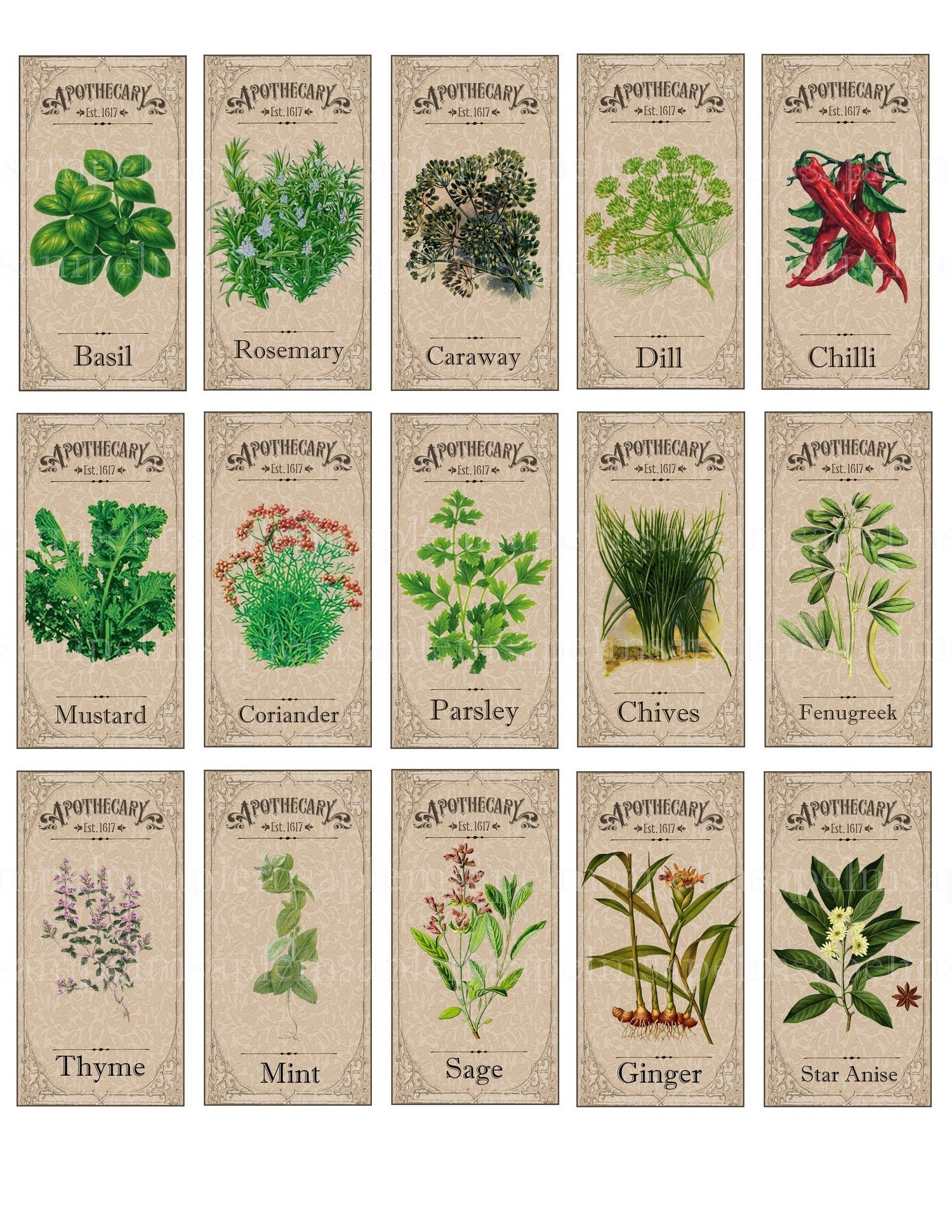 Herbal Apothecary Bottle Labels Jar Labels Tags Hobby Crafting ...