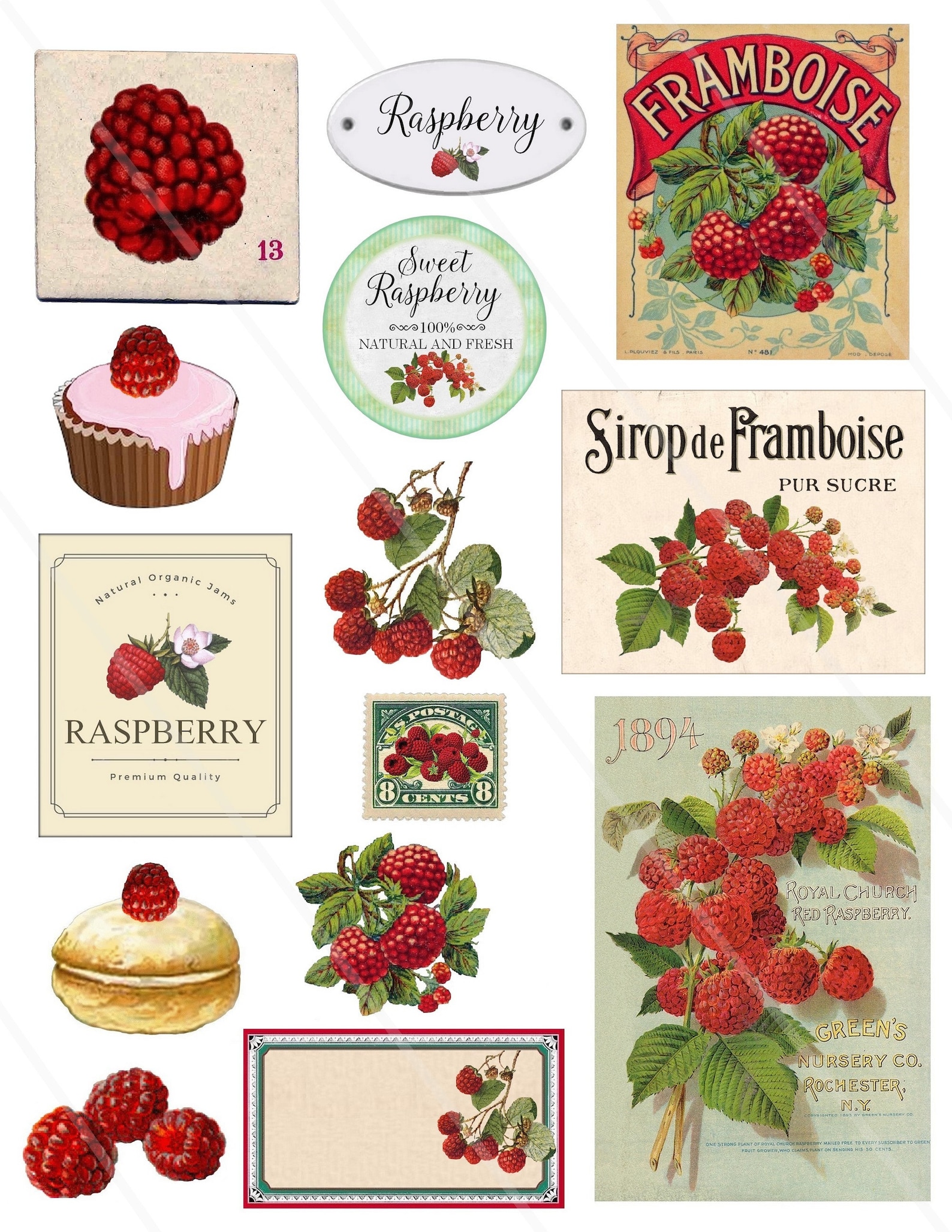 Vintage Raspberry Ephemera Raspberry Cliparts PNG Junk - Etsy