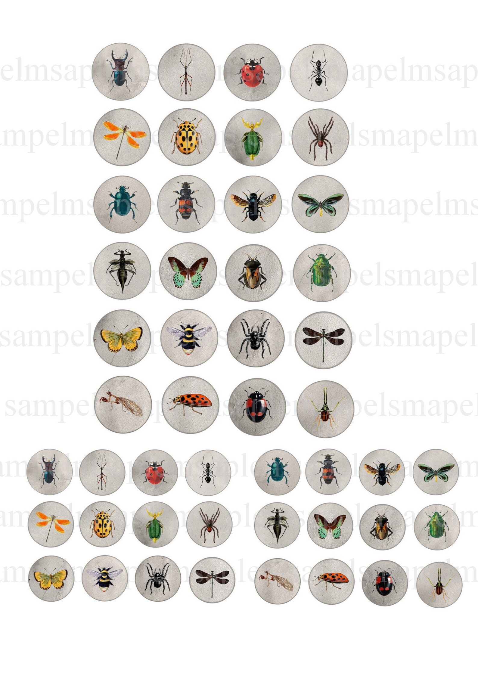 Insects Digital Collage Sheet Butterfly Bug Bottlecap Images - Etsy
