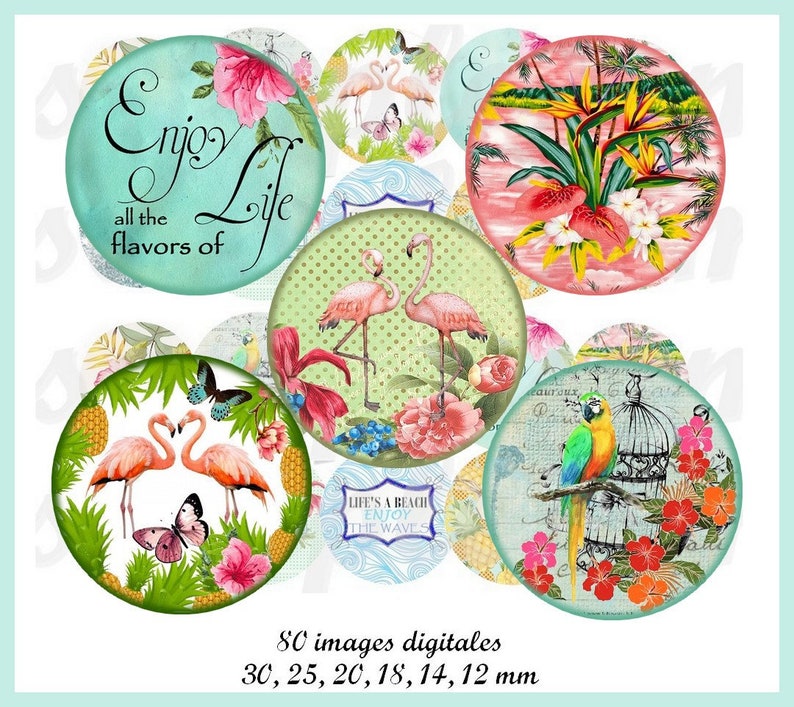 Digital Collage Sheet Circles Tropical Pineapple Flamingo - Etsy