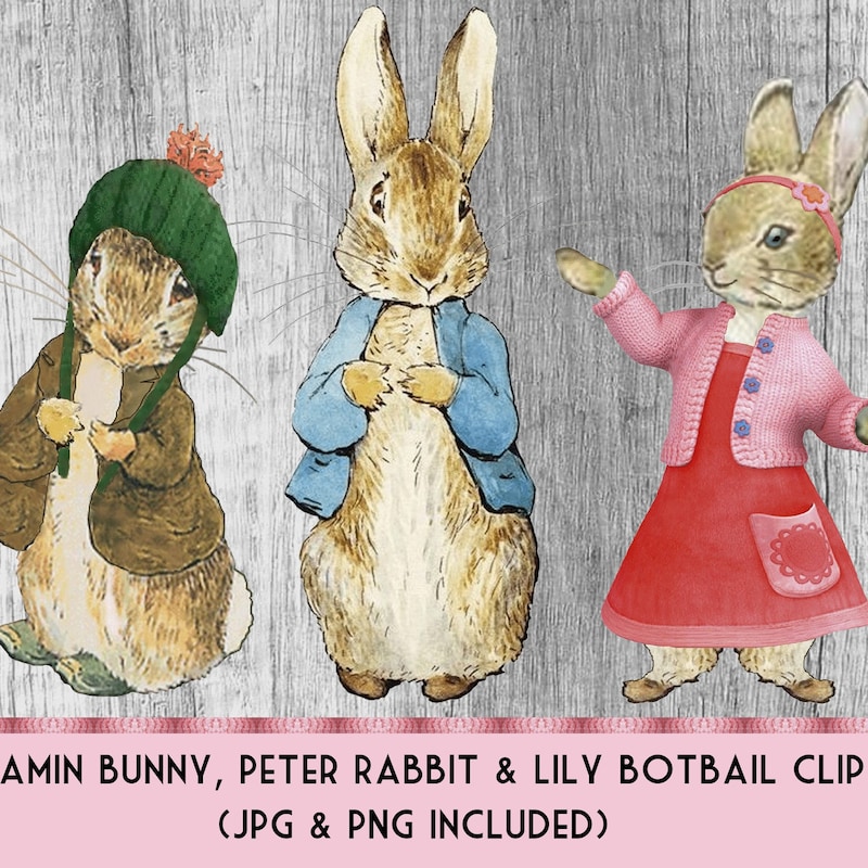 Benjamin Bunny - Etsy