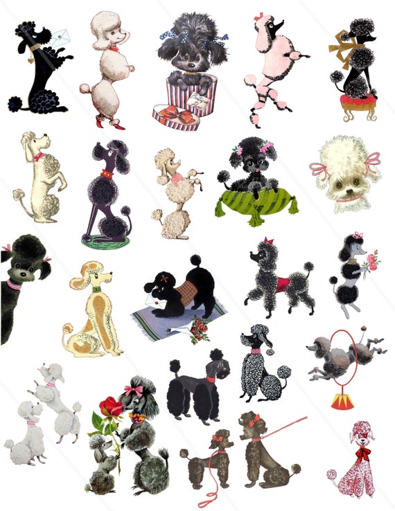 Vintage Poodles Clip Art Digital Collage Sheet Retro Poodles - Etsy