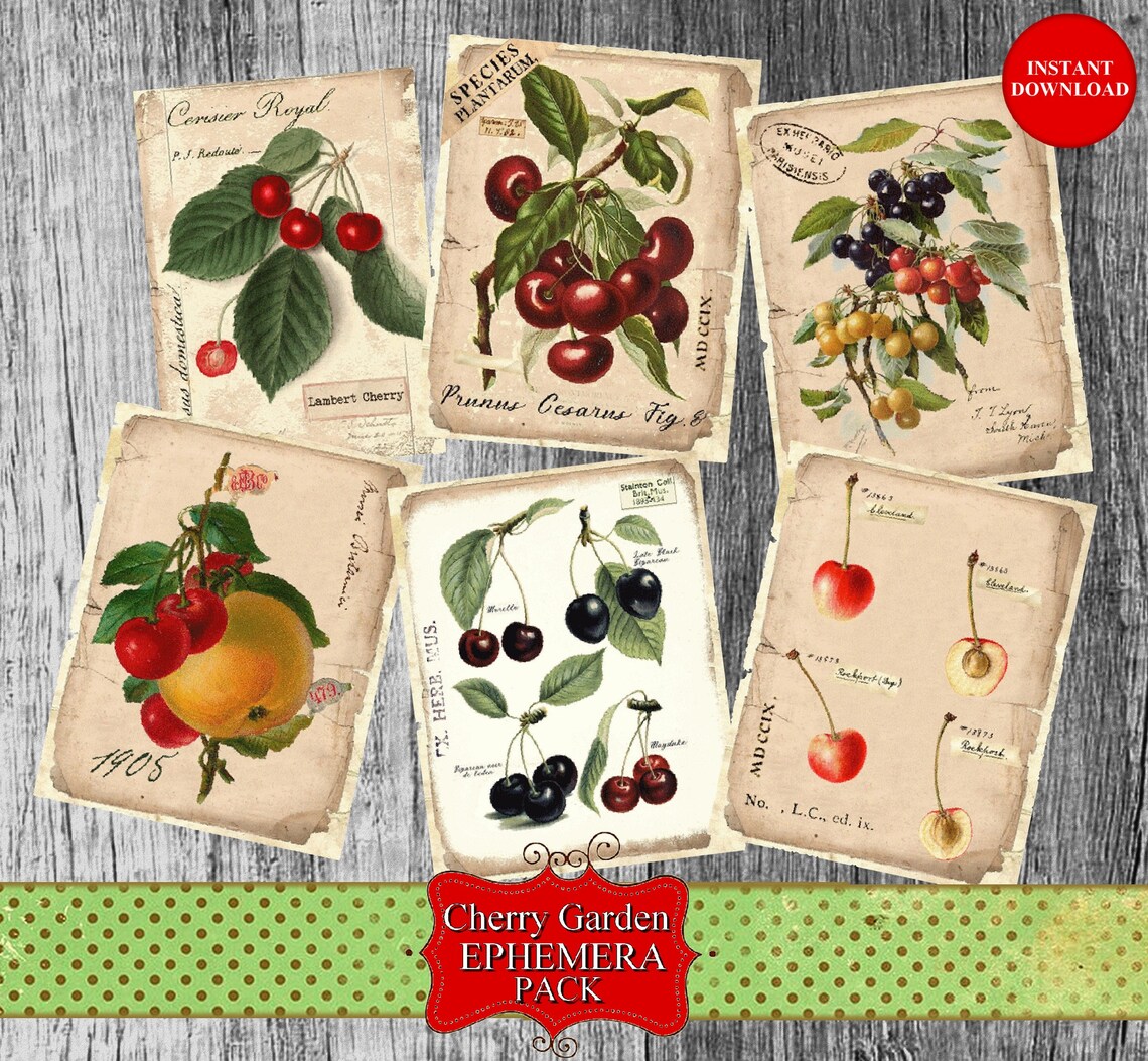 Cherry Junk Journal Ephemera Kit - Vintage Botanical Cherries, Summer ...