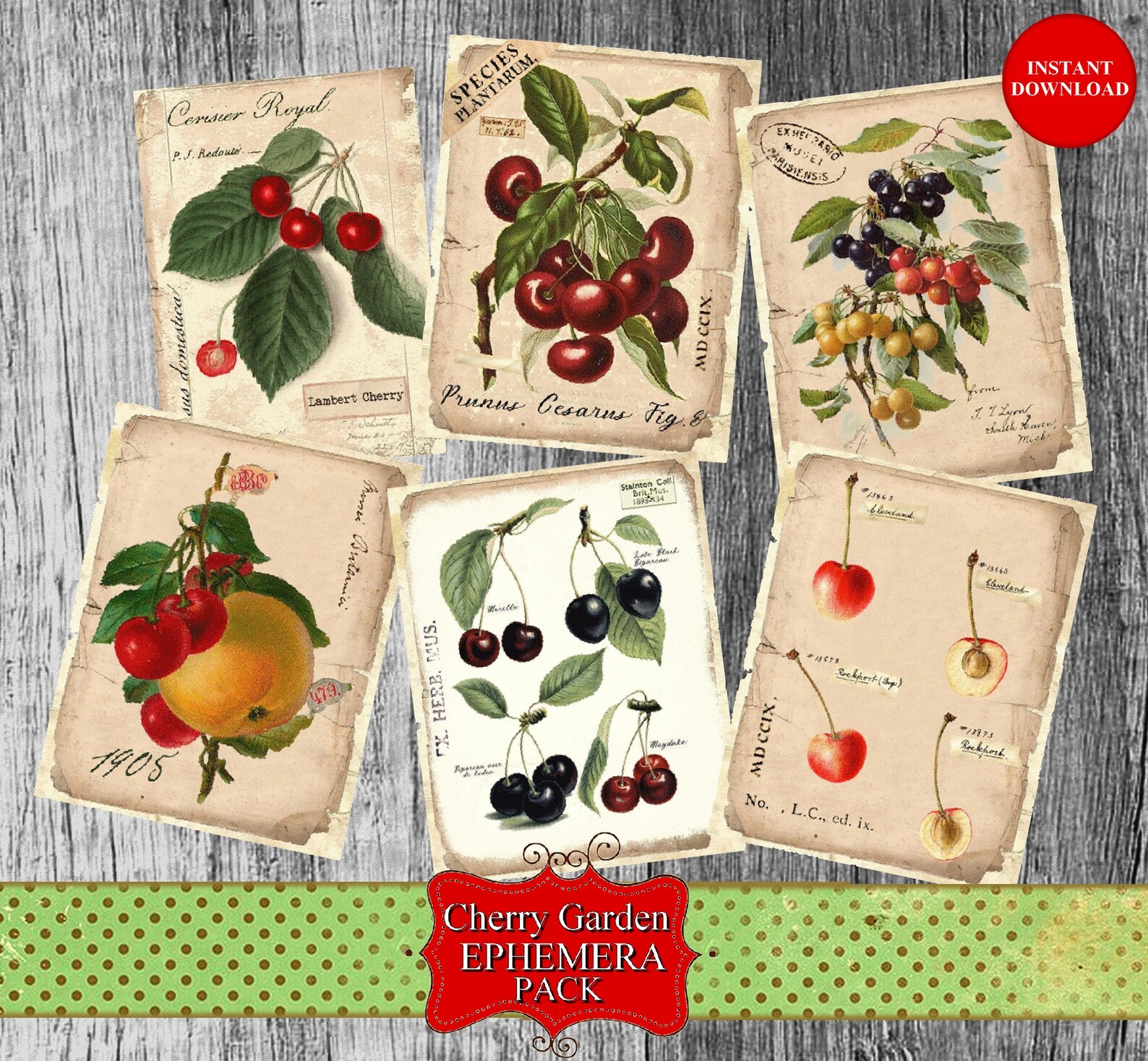 Cherry Junk Journal Ephemera Kit - Vintage Botanical Cherries, Summer ...