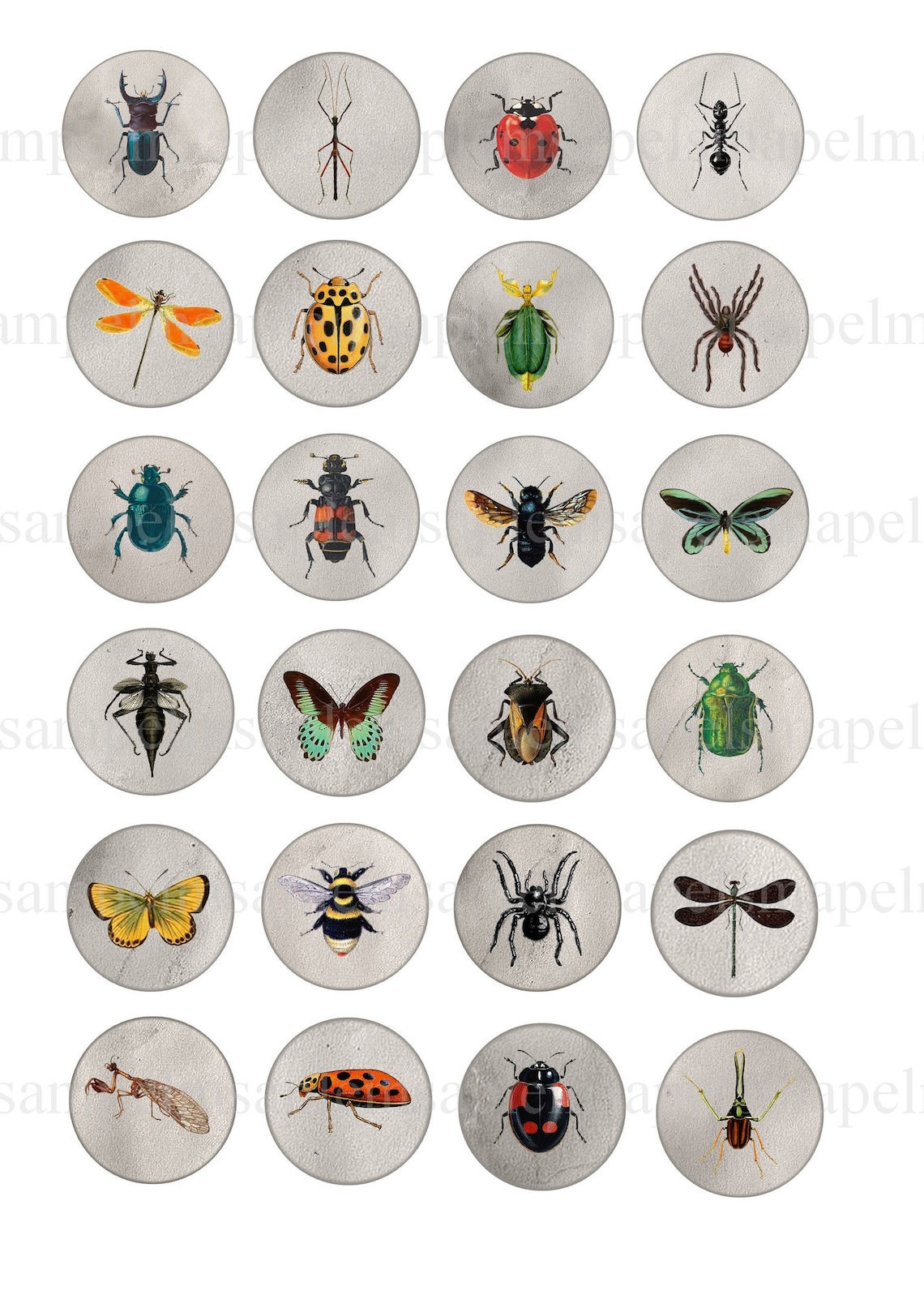 Insects Digital Collage Sheet Butterfly Bug Bottlecap Images - Etsy