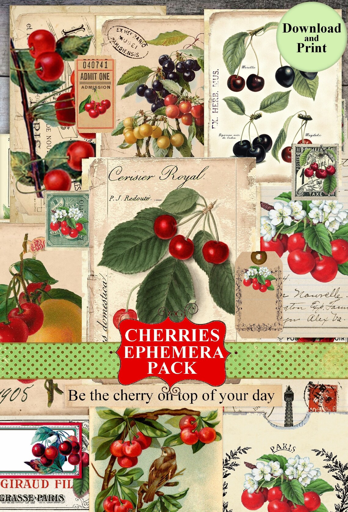 Cherry Junk Journal Ephemera Kit - Vintage Botanical Cherries, Summer ...