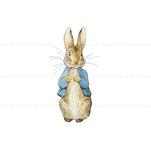 Peter Rabbit Benjamin Bunny Lily Botbail Cliparts, Instant Download ...