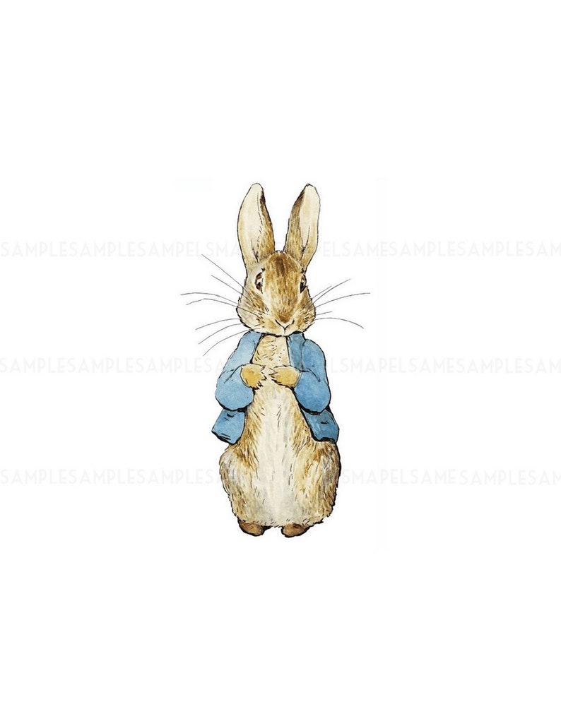 Peter Rabbit Benjamin Bunny Lily Botbail Cliparts, Instant Download ...