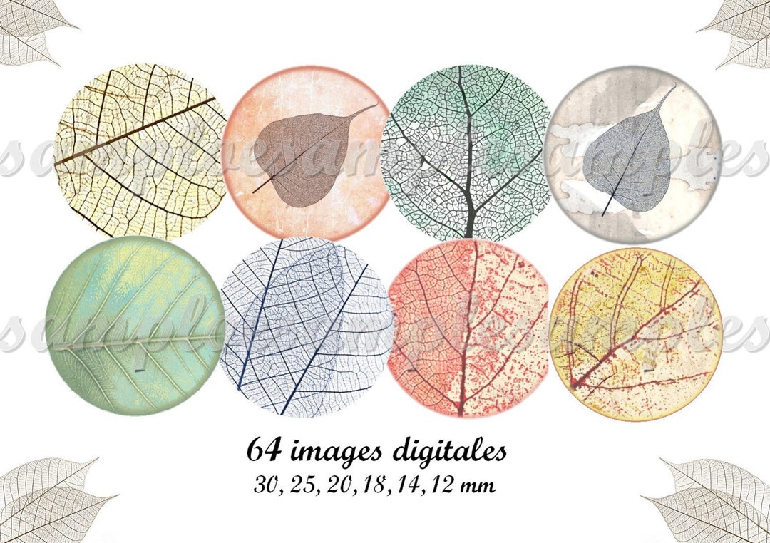 Digital Colage Sheet Circles Transparent Leaves 1 Inch Round 1" Bottle ...