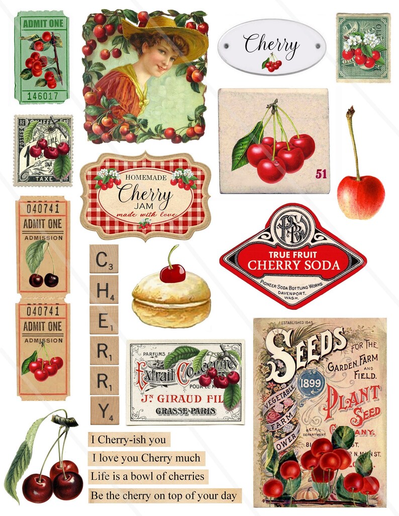 Cherry Digital Collage Sheet Vintage Fruits Clip Artand Ephemera PNG ...