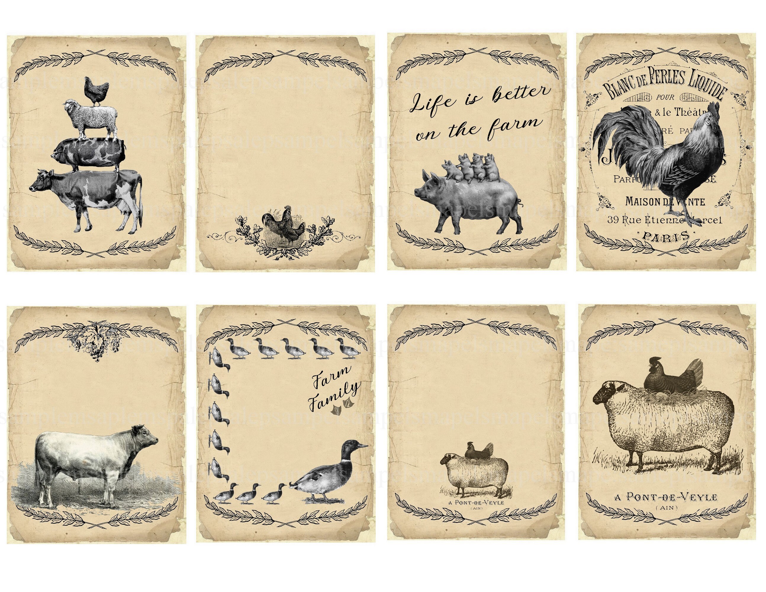 Images digitales cartes animaux de la ferme poule coq mouton vache ...