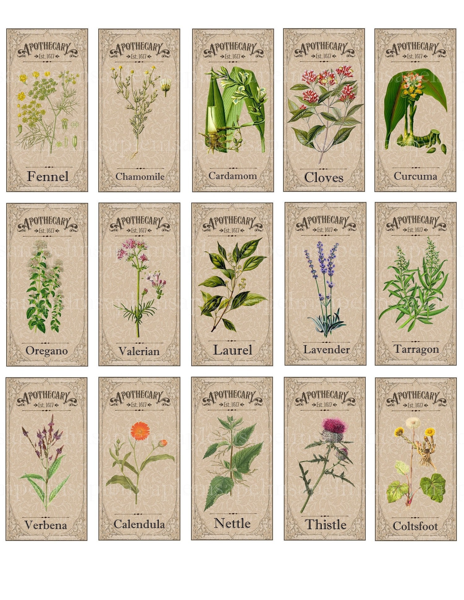 Herbal Apothecary Bottle Labels Jar Labels Tags Hobby Crafting ...