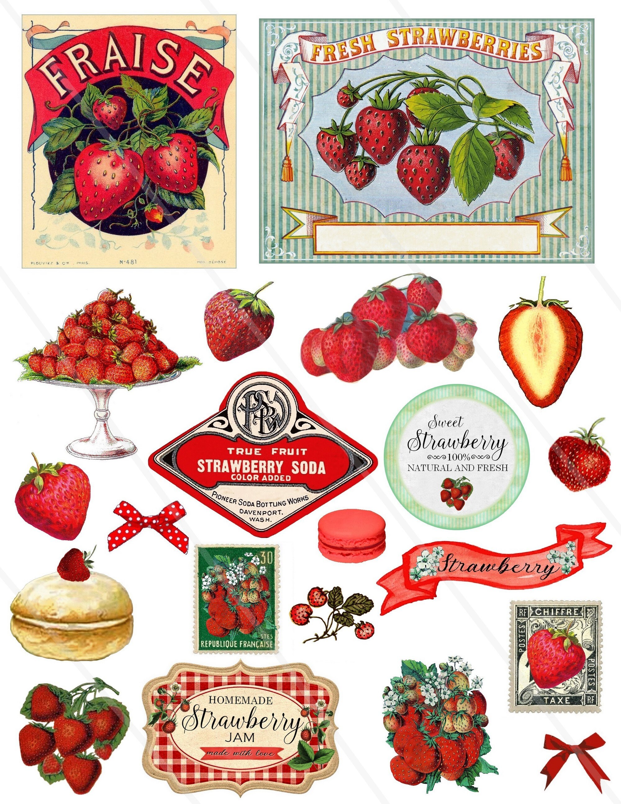 Vintage Strawberry Ephemera Strawberry Cliparts PNG Junk - Etsy