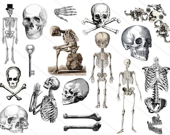 SKULLS AND SKELETONS Digital Collage Sheet 1x3in Halloween - Etsy