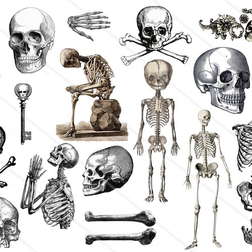 Digital Collage Sheet Vintage Skeleton Skull Bones Halloween - Etsy