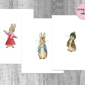 Peter Rabbit Benjamin Bunny Lily Botbail Cliparts, Instant Download ...