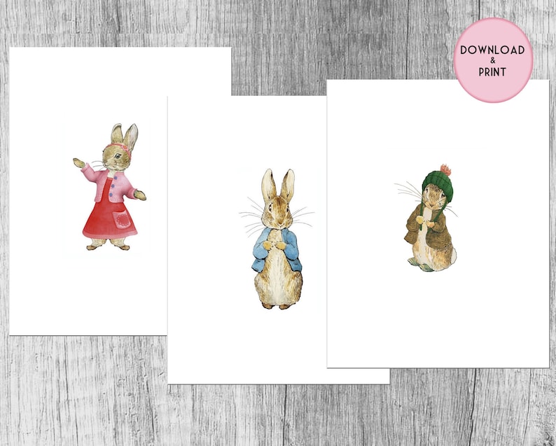 Peter Rabbit Benjamin Bunny Lily Botbail Cliparts, Instant Download ...