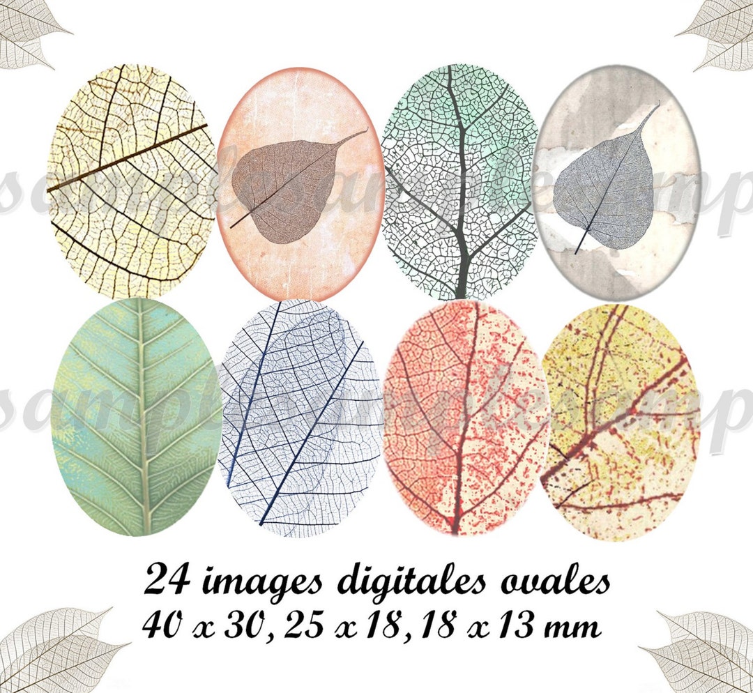 Digital Collage Sheet Oval Images Leaf Skeleton , Digital Images ...