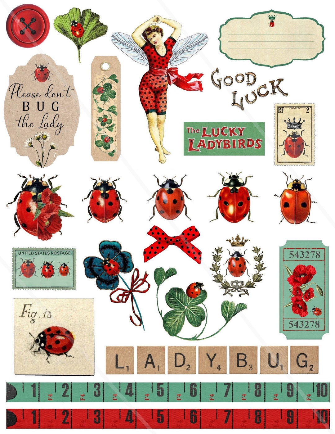 Vintage Ladybug Cliparts Ephemera Printable Ladybird PNG Garden Digital ...