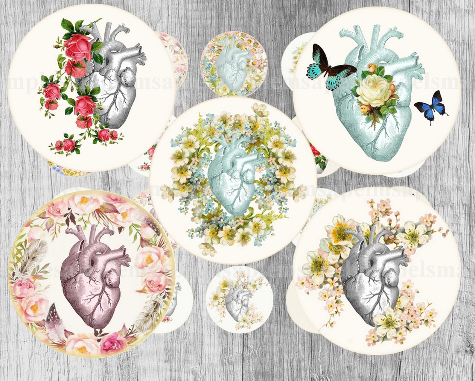 Digital Collage Sheet Circles Heart Anatomical, 1" Inch Circle,pendant ...