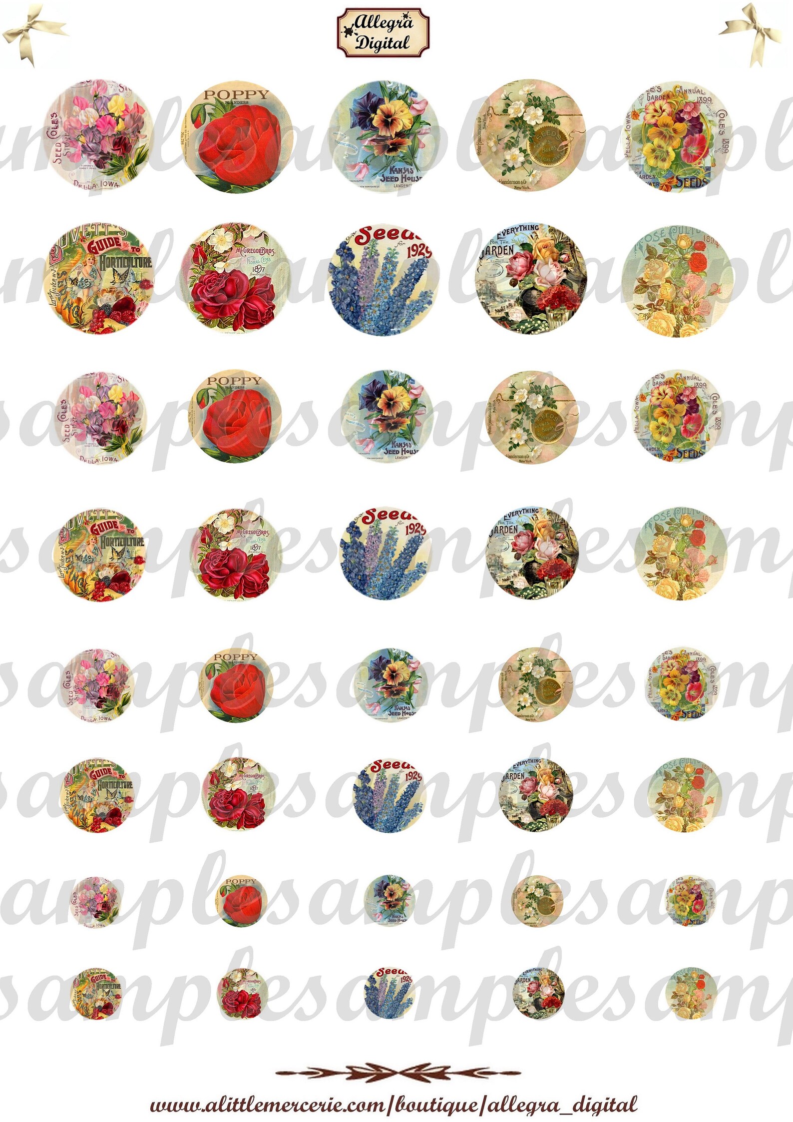 Digital Print OLD GARDEN 1 Inch Circle - Flower Images Ring Earrings ...
