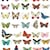 Digital Collage Sheet Butterflies Wings Jpeg-instant Download Butterfly ...