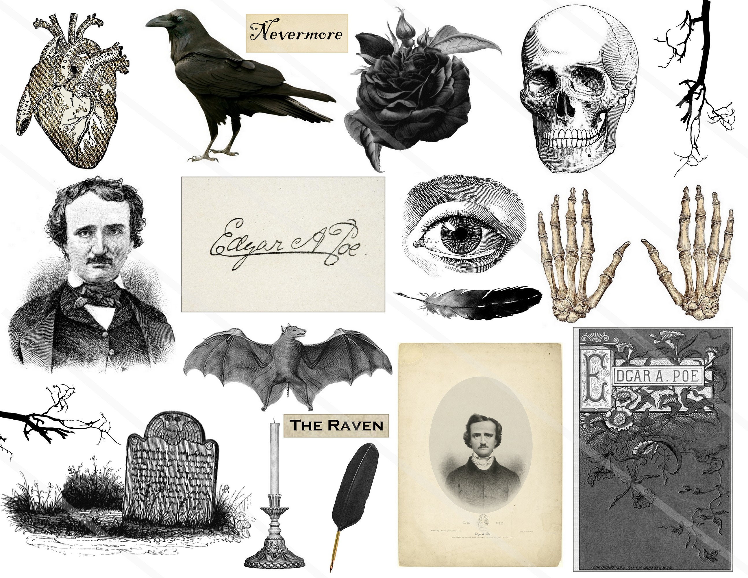 Edgar Allan Poe Clipart