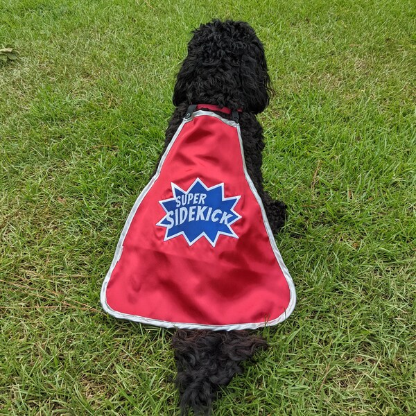 Dog Custom Cape - Etsy