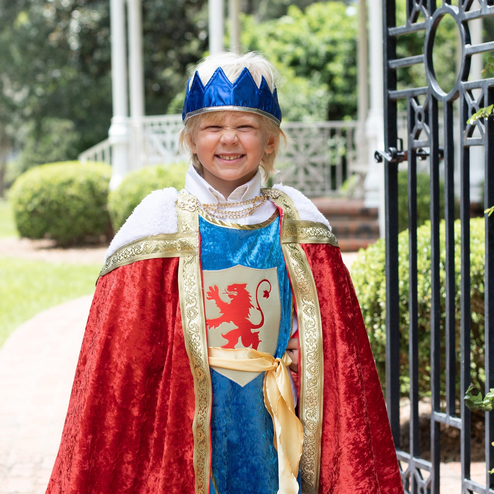 Royal Crown Party Pack, Birthday Crown, Prince or Princess Crown ...