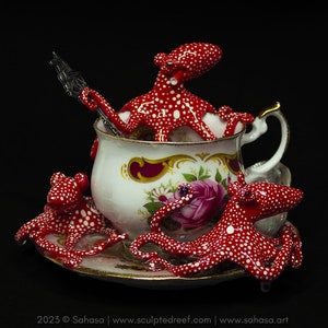 BUCKINGHAM No.33 Octopus Tea Cup Signature Series 3 Handmade Clay ...