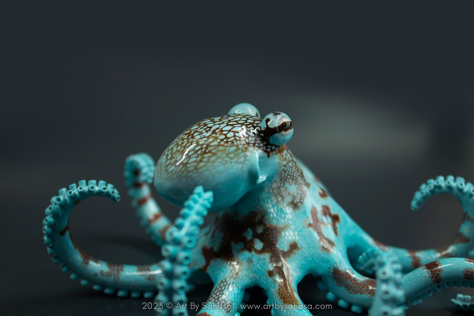 Caribbean Reef Octopus