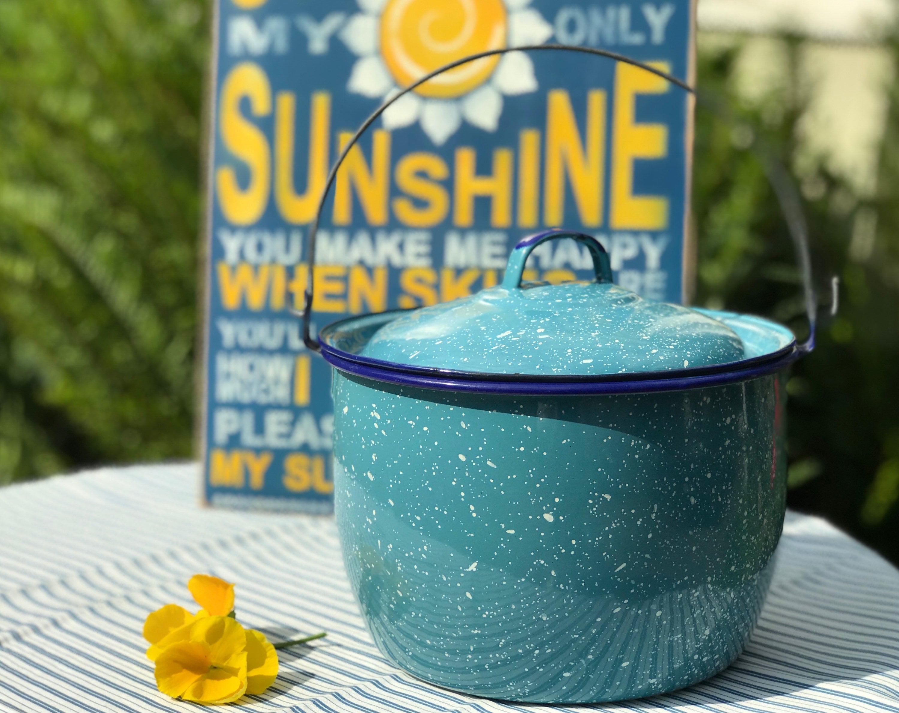 Blue Enamel Camping Cookware