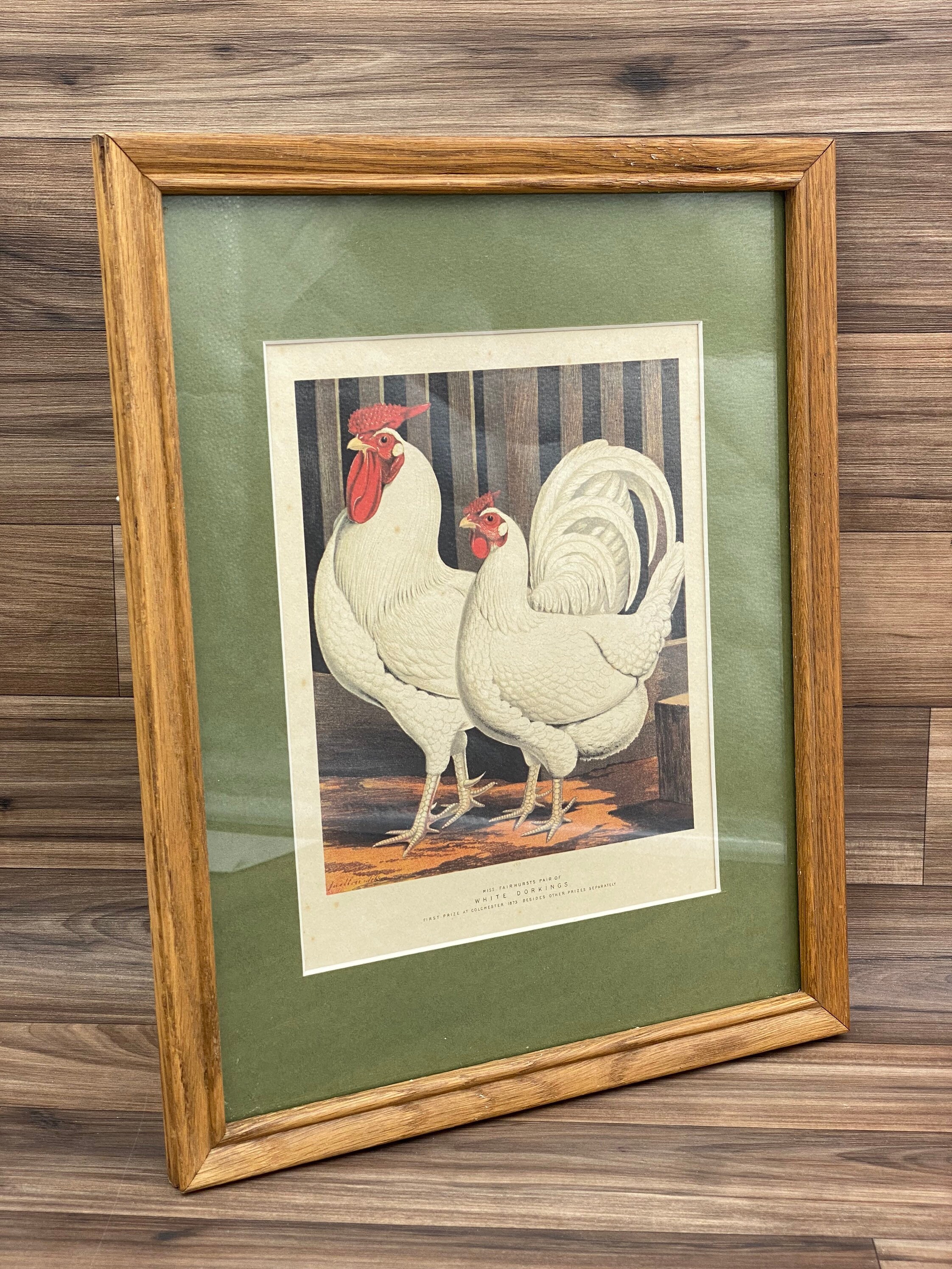 Vintage Chicken print, Matted Nature Wall art, White Dorkings, rustic ...