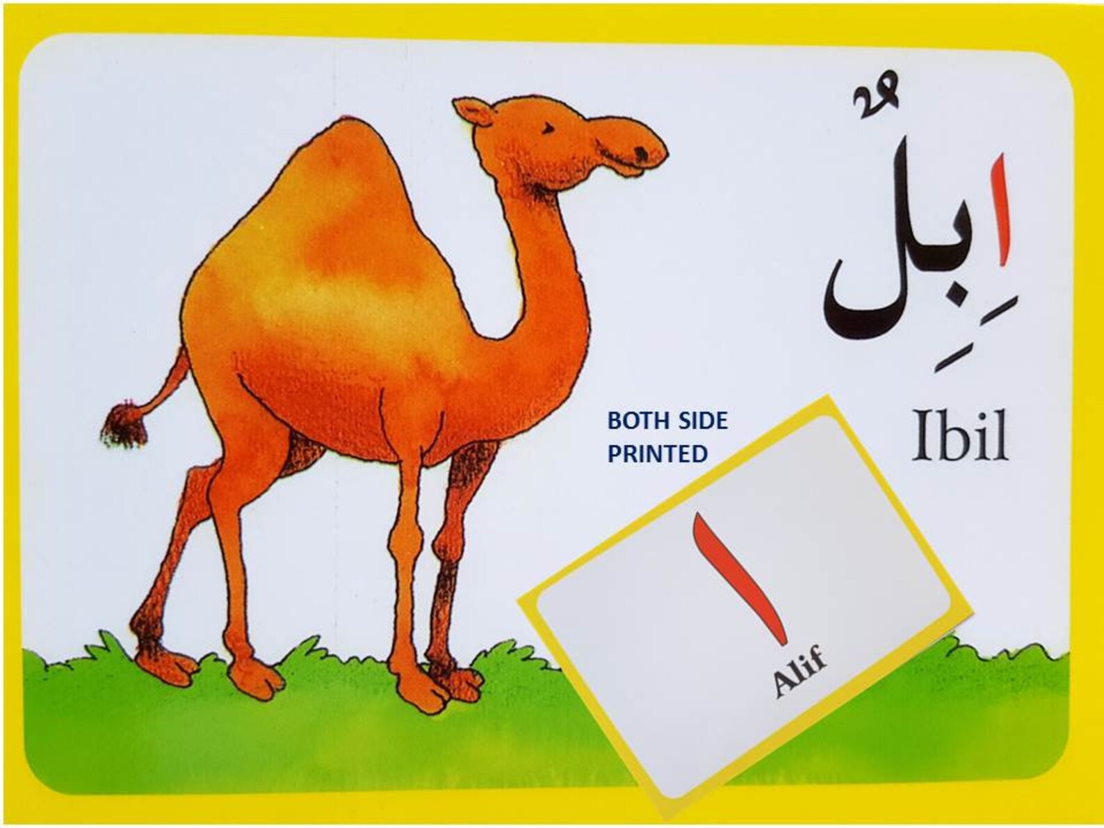 Arabic Alphabets Flash Cards Arabic Flash Cards Quran Learning - Etsy