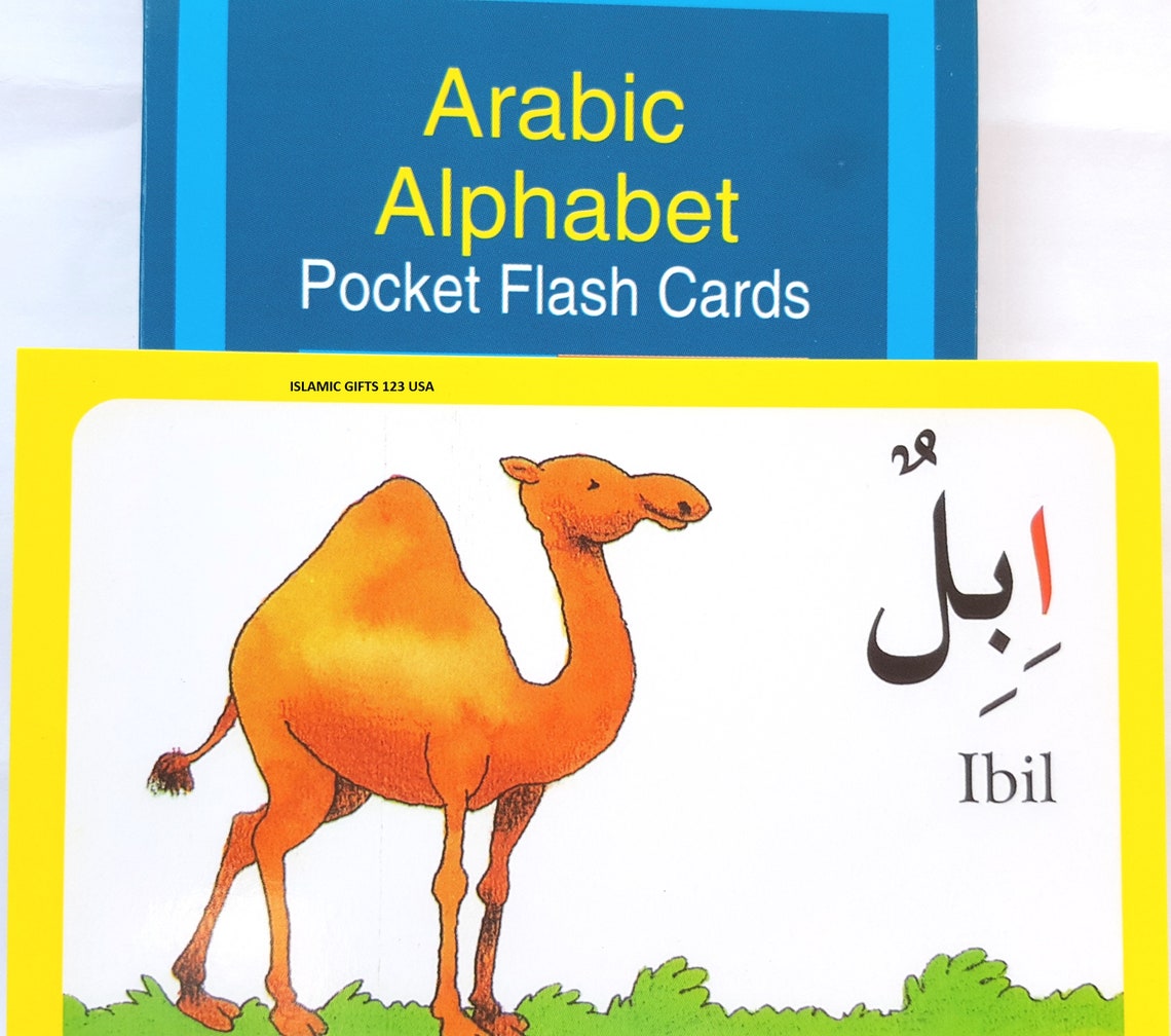 Arabic Alphabets Flash Cards Arabic Flash Cards Quran Learning - Etsy