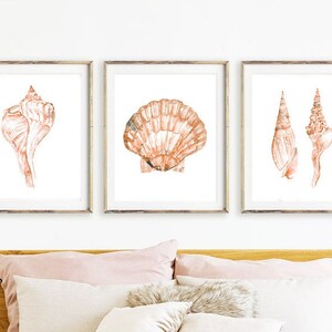 Set of 3 Sea Shell Pink Watercolor Painting Print Art Fish Animal ...