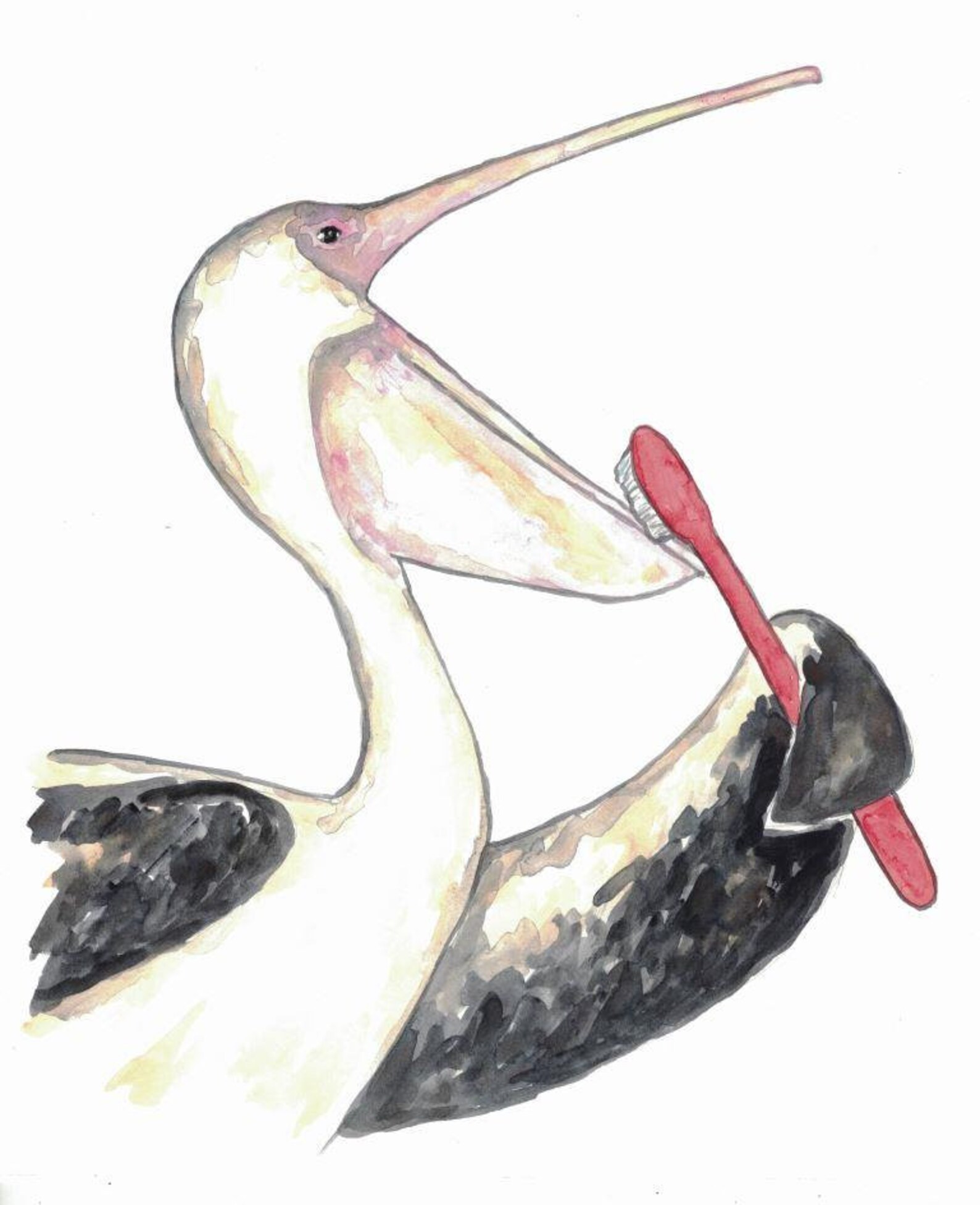 Pelican Brushing Teeth Bath Watercolor Painting Print Art - Etsy