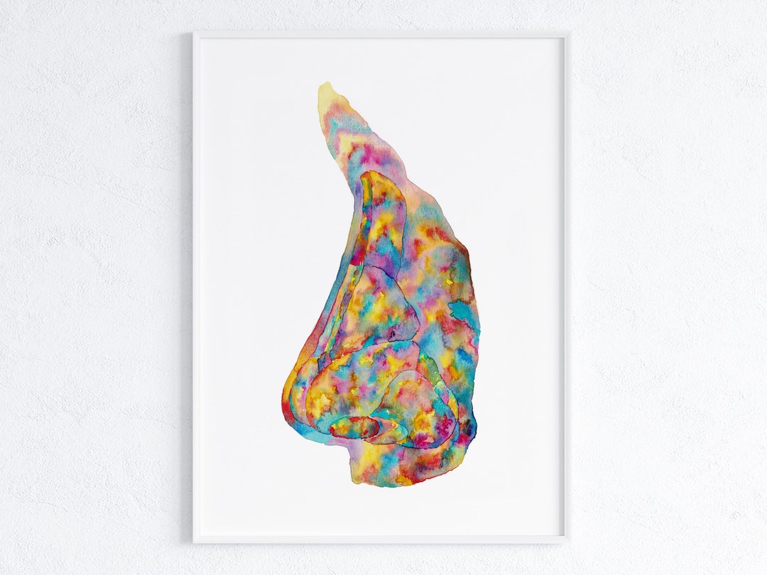 Nose Anatomy Wall Art Watercolor Print Human Ear Nose Throat Doctor ...