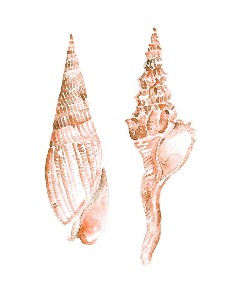 Set of 3 Sea Shell Pink Watercolor Painting Print Art Fish Animal ...